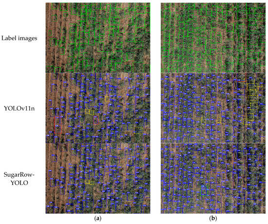 Accurate Sugarcane Detection and Row Fitting Using SugarRow-YOLO and Clustering-Based Spline ...