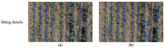 Accurate Sugarcane Detection and Row Fitting Using SugarRow-YOLO and Clustering-Based Spline ...