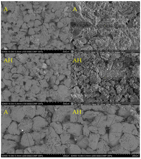 Hydrogen–Rock Interactions in Carbonate and Siliceous Reservoirs: A ...