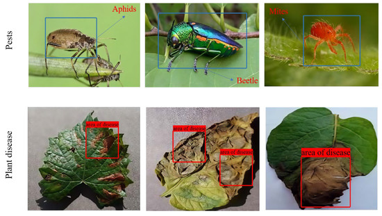 A Review of Computer Vision and Deep Learning Applications in Crop ...