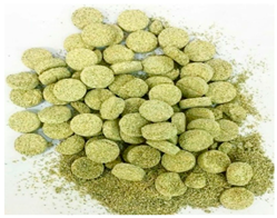 Biopharmaceutical and Pharmacotechnical Characterization of Plant ...
