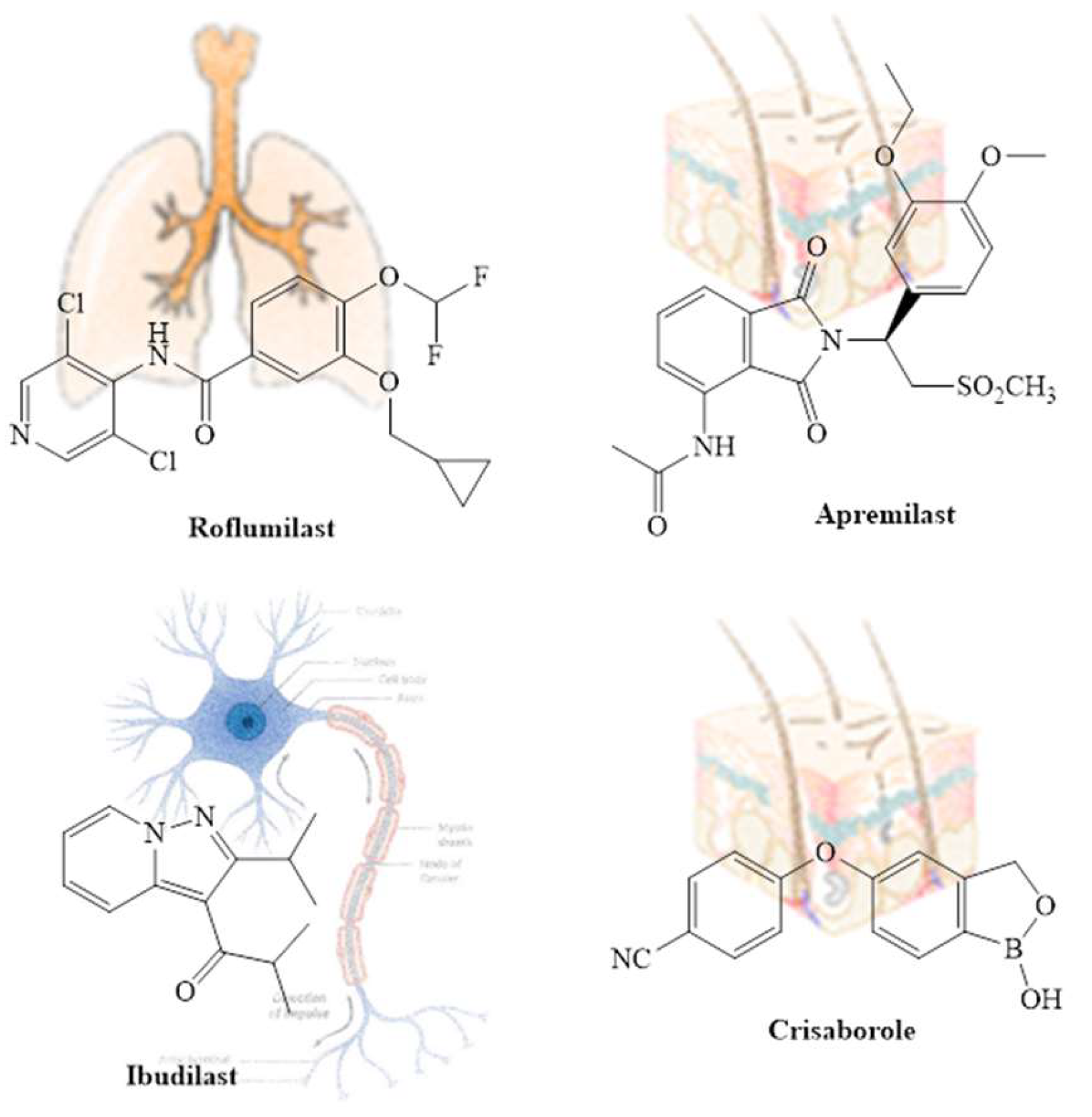 Polynitrogen Bicyclic and Tricyclic Compounds as PDE4 Inhibitors