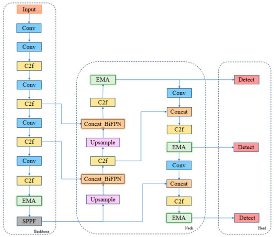 Steel Surface Defect Detection Algorithm Based on Improved YOLOv8 Modeling