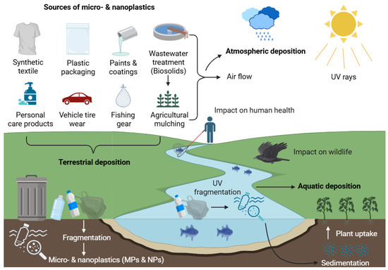 Exposure Pathways, Systemic Distribution, and Health Implications of Micro- and Nanoplastics in ...