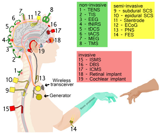 Neural–Computer Interfaces: Theory, Practice, Perspectives