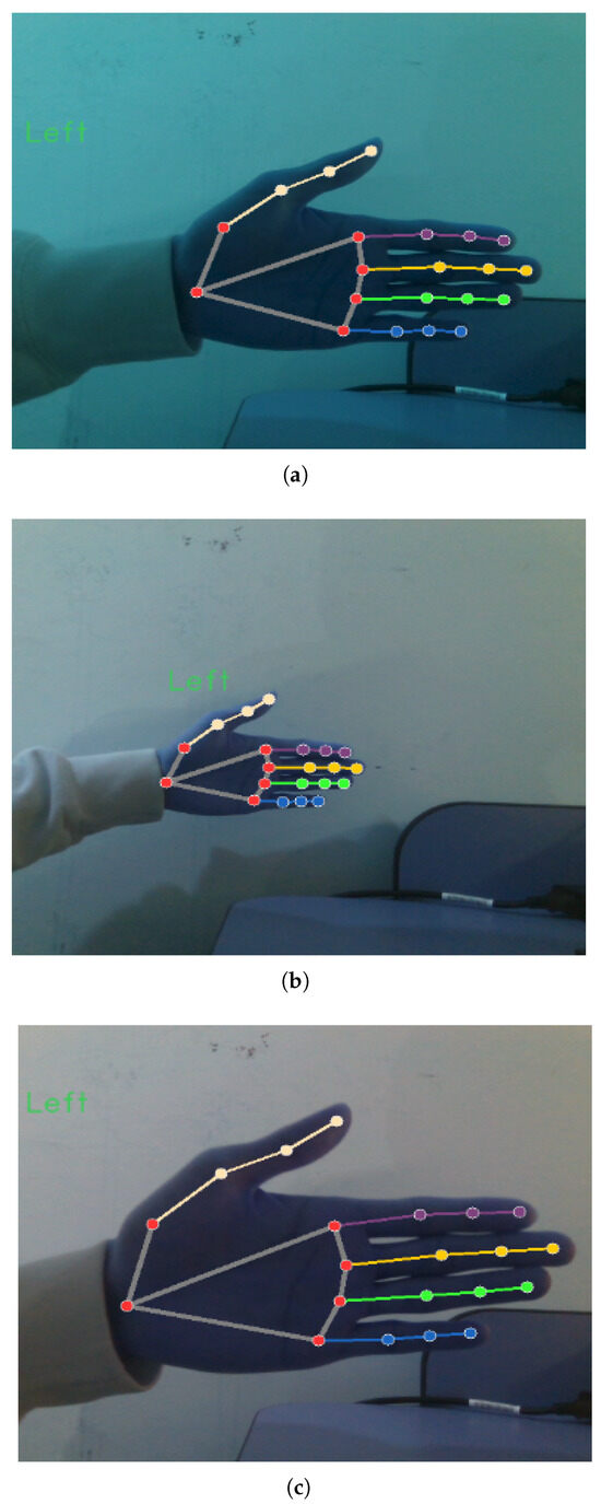 Hand Kinematic Model Construction Based on Tracking Landmarks