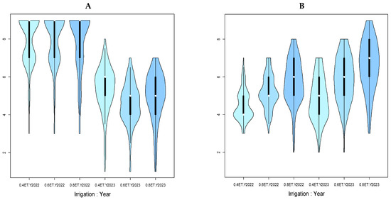 Performance of Turf Bermudagrass Hybrids with Deficit Irrigation in the ...