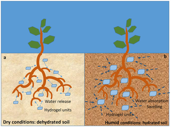 Advances in Hydrogel Film Fabrication and Functional Applications ...