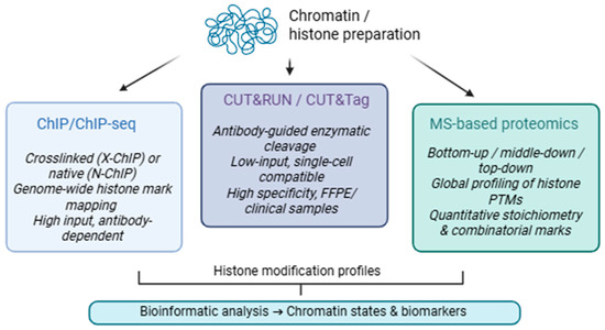 From DNA Methylation and Histone Modifications to Non-Coding RNAs ...