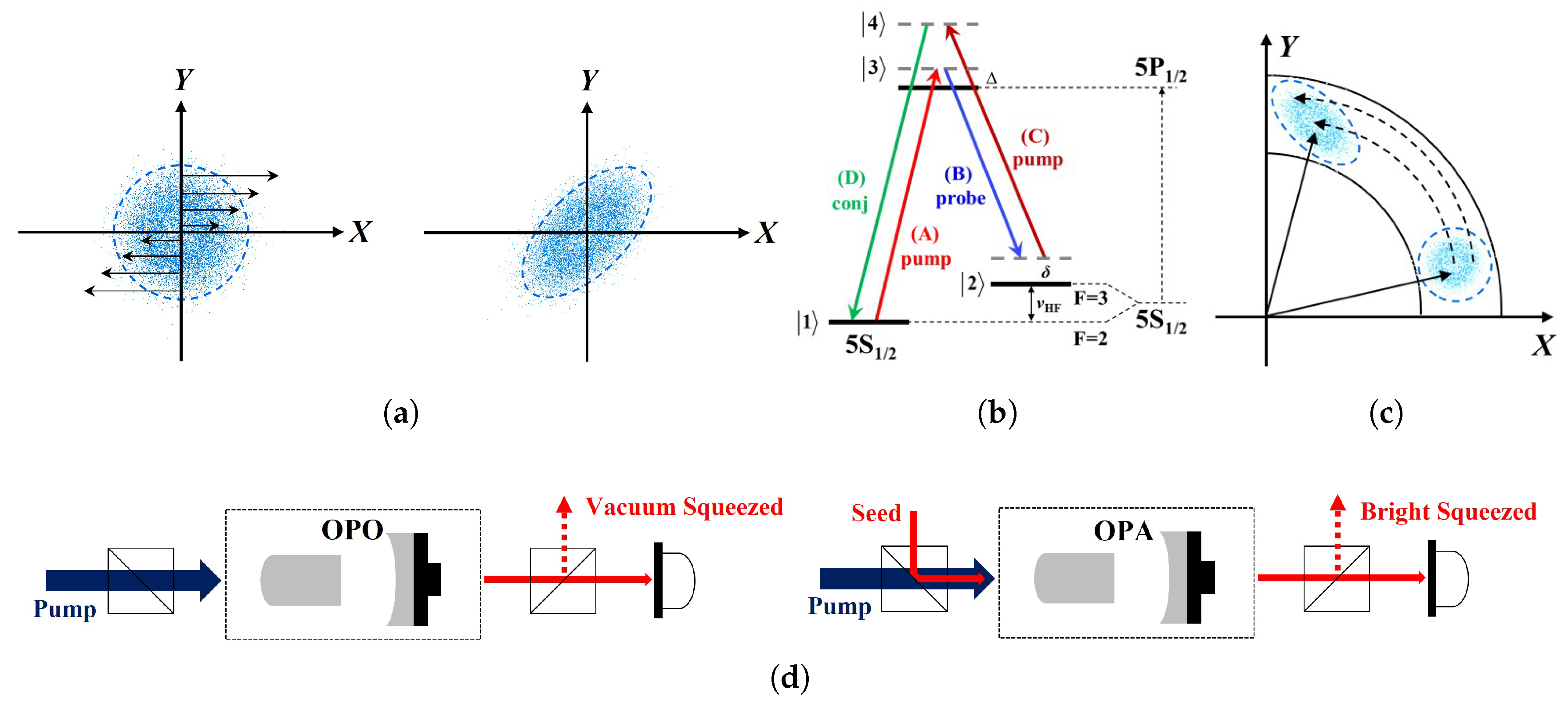 Quantum-Enhanced Sensing with Squeezed Light: From Fundamentals to ...