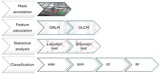 Texture Components of the Radiographic Image Assist in the Detection of ...