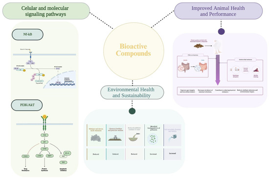 Plant-Derived Bioactive Compounds: One Health Perspective