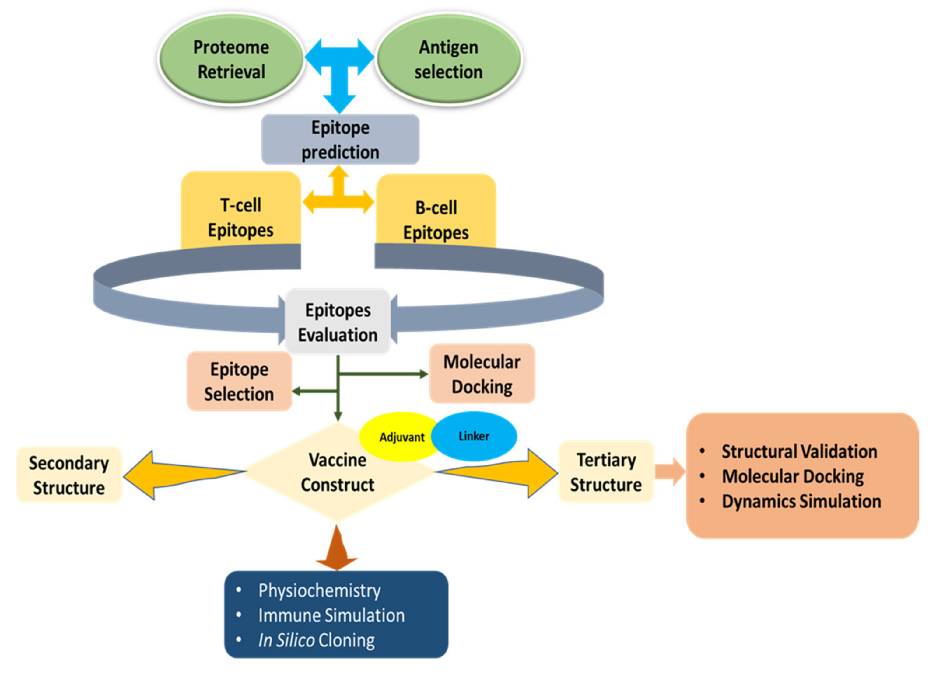 Aquaculture Journal | Free Full-Text | Immunoinformatic Approaches to ...