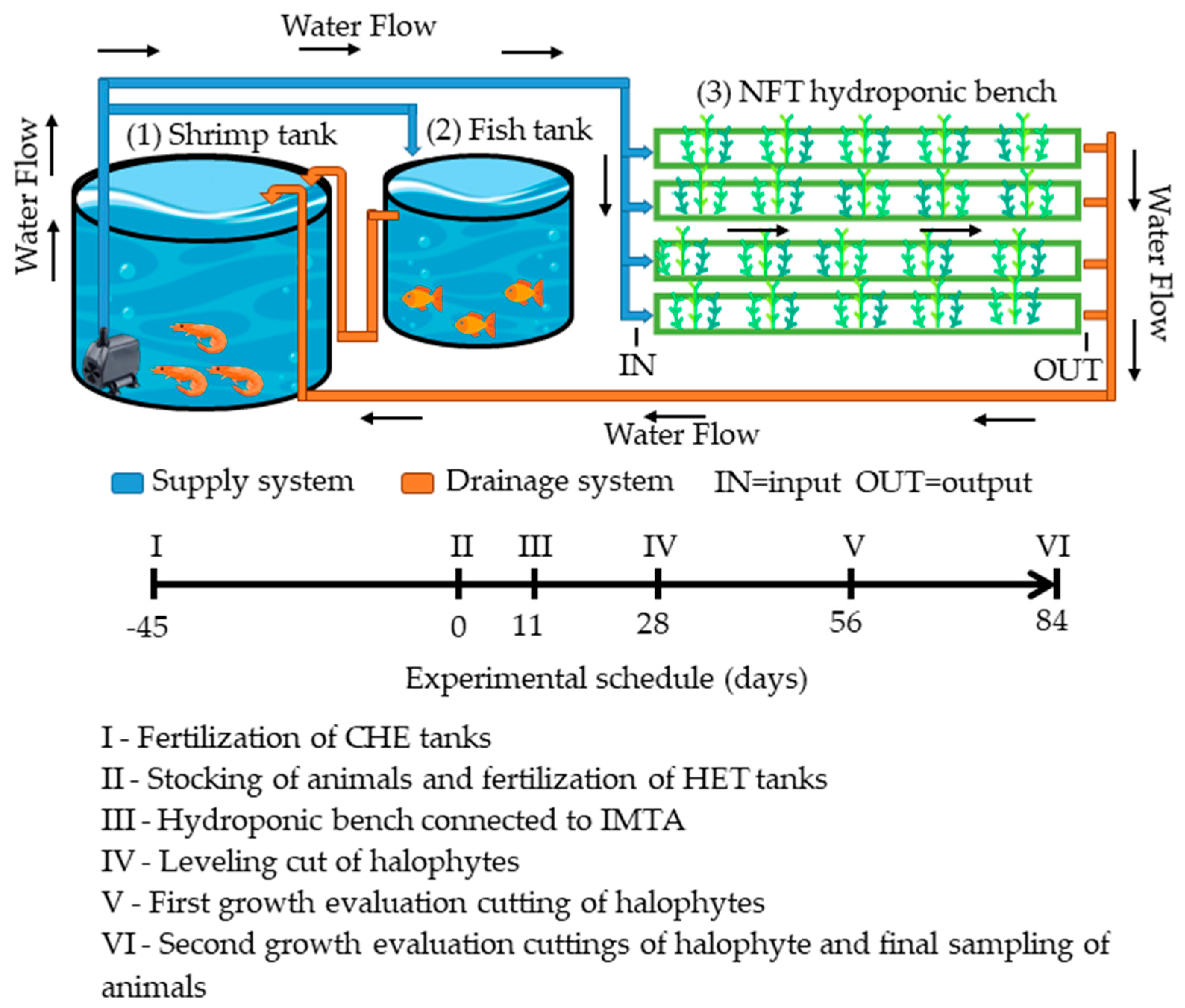 Biofloc Formation Strategy Effects on Halophyte Integration in IMTA ...