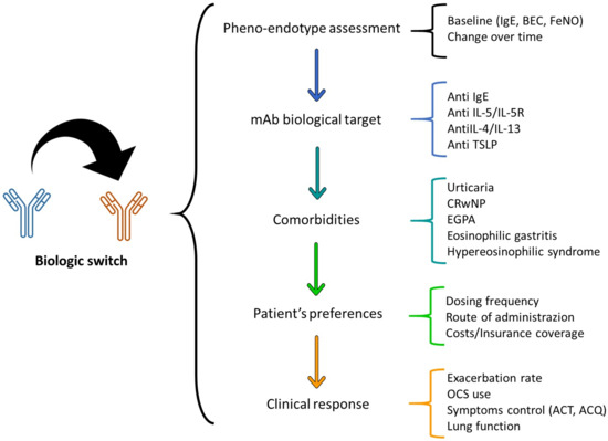 Advancing Care in Severe Asthma: The Art of Switching Biologics
