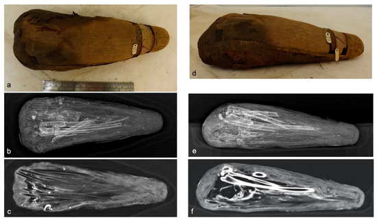 On a Wing and a Prayer: Ibis Mummies in Material Culture at Abydos