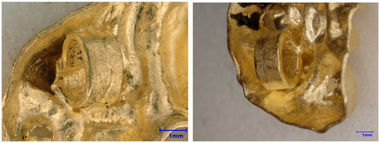 The Saka ‘Animal Style’ in Context: Material, Technology, Form and Use