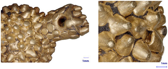 The Saka ‘Animal Style’ in Context: Material, Technology, Form and Use