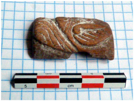 “Animal-Style Art,” and Special Finds at Iron Age Settlements in ...