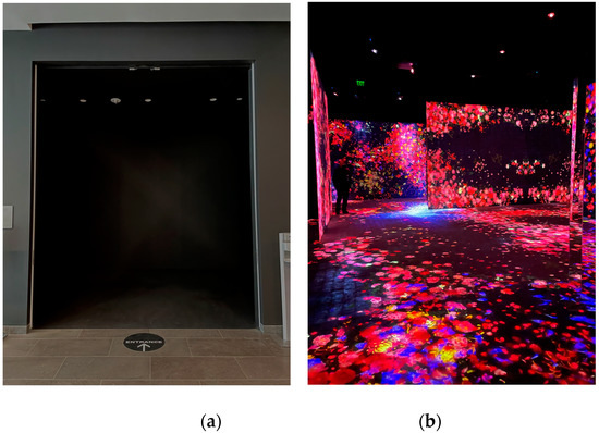 Arts | Free Full-Text | Continuity: Sharing Space in teamLab’s Digital ...