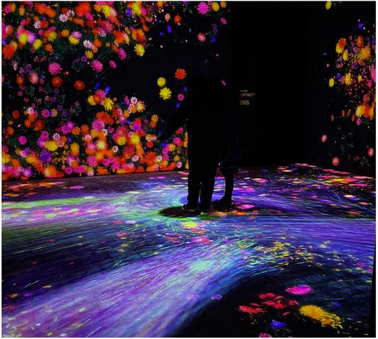 Arts | Free Full-Text | Continuity: Sharing Space in teamLab’s Digital ...