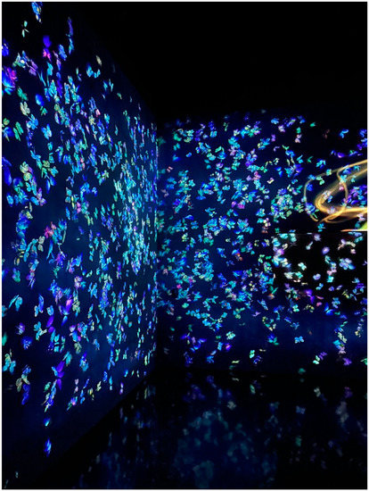 Arts | Free Full-Text | Continuity: Sharing Space in teamLab’s Digital ...