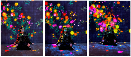 Arts | Free Full-Text | Continuity: Sharing Space in teamLab’s Digital ...