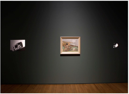 Tacita Dean’s Affective Intermediality: Precarious Visions in-between ...