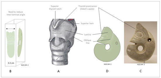 Jade for Bones in Hongshan Craftsmanship: Human Anatomy as the Genesis ...