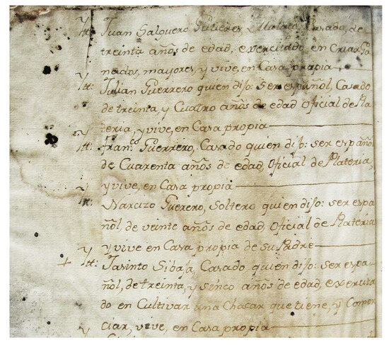 Design in a Colonial Periphery: Guilds, Artisans, and Non-Artisans in ...