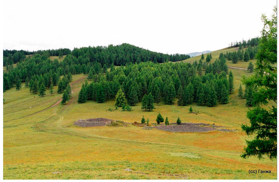 A Distinct Form of Socio-Political and Economic Organization in the ...