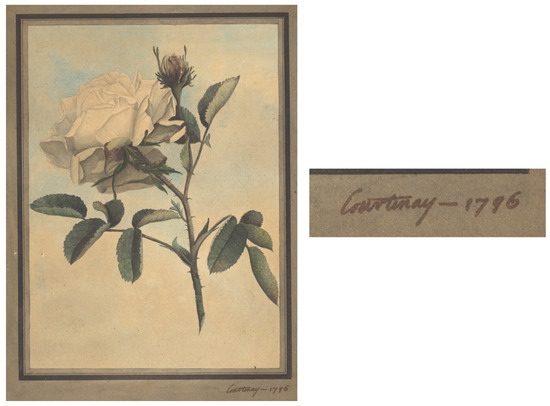 Arts | Free Full-Text | “Lost in Flowers & Foolery”: A Gendered Reading ...