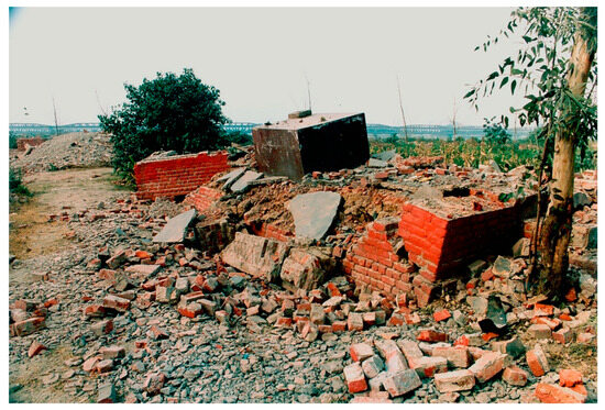 Making Space for the Better: Living by the Sacred Yamuna