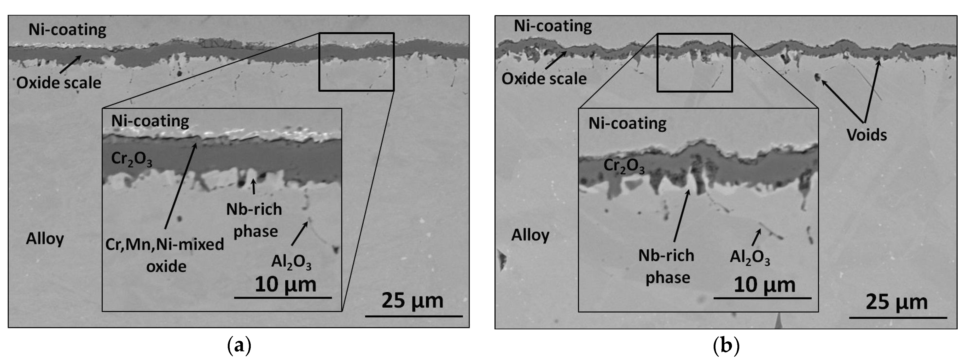Effect of Surface Roughness on Early Stage Oxidation Behavior of Ni ...