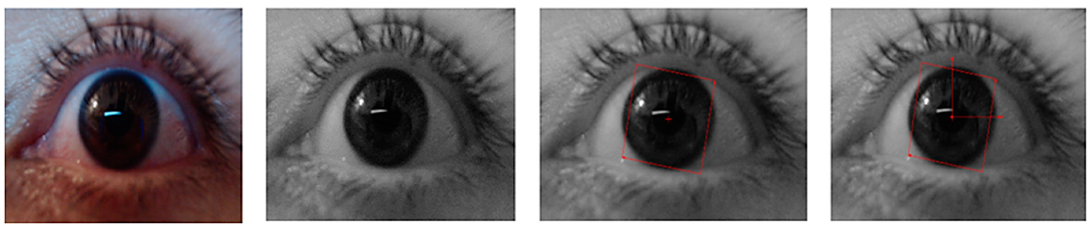 Gaze-Guided Control of an Autonomous Mobile Robot Using Type-2 Fuzzy Logic
