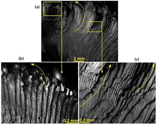 ASI | Free Full-Text | Structural Anatomy of Tunnel Void Defect in ...