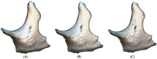 Different Techniques of Creating Bone Digital 3D Models from Natural ...