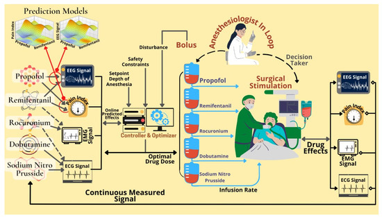Model Predictive Control and Its Role in Biomedical Therapeutic ...