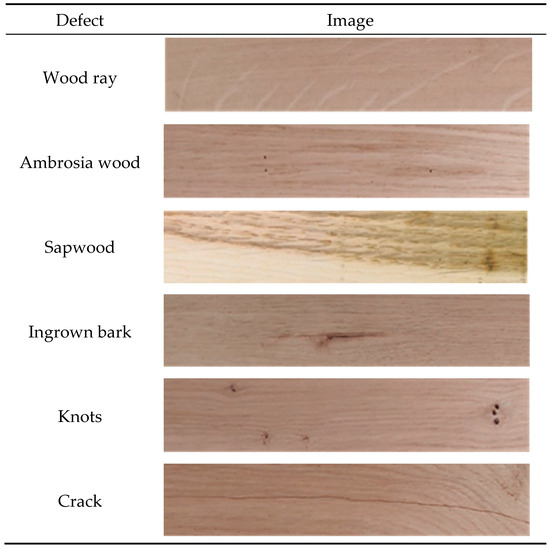 A Comparative Analysis of Oak Wood Defect Detection Using Two Deep Learning (DL)-Based Software