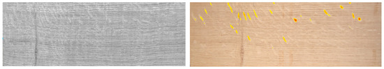 A Comparative Analysis of Oak Wood Defect Detection Using Two Deep ...