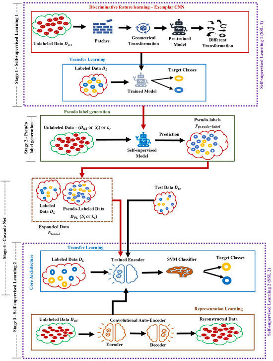 Twin Self-Supervised Learning Framework for Glaucoma Diagnosis Using Fundus Images