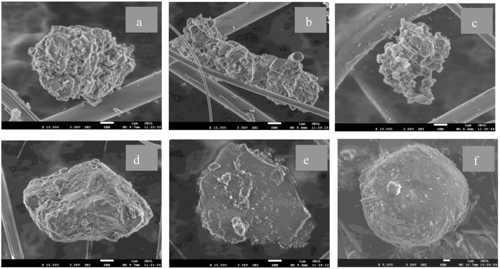 Characteristics of PM10 and PM2.5 at Mount Wutai Buddhism Scenic Spot ...