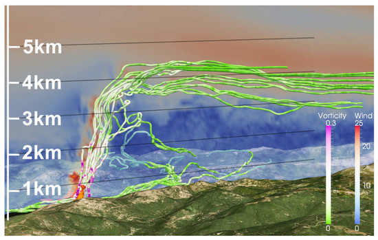 Simulation of a Large Wildfire in a Coupled Fire-Atmosphere Model