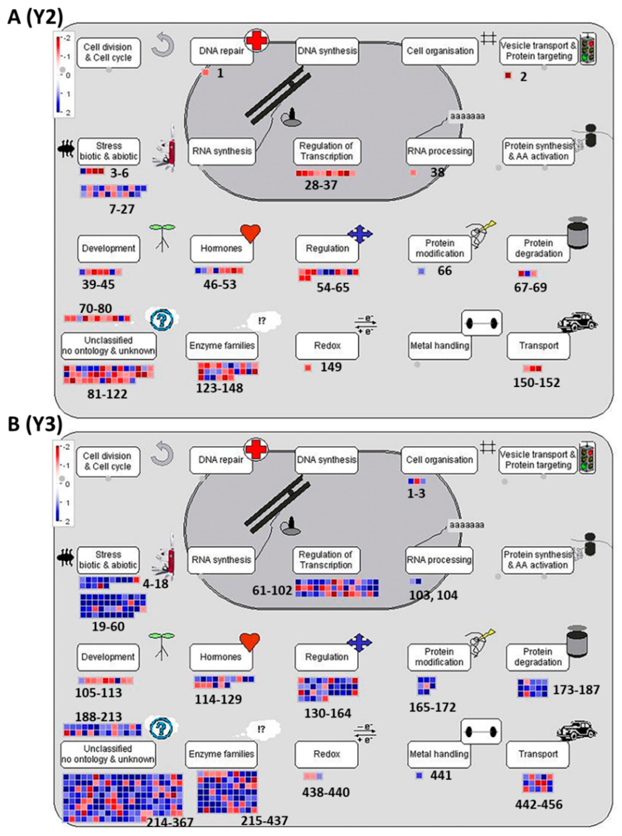Transcriptomics of Mature Rice (Oryza Sativa L. Koshihikari) Seed under ...