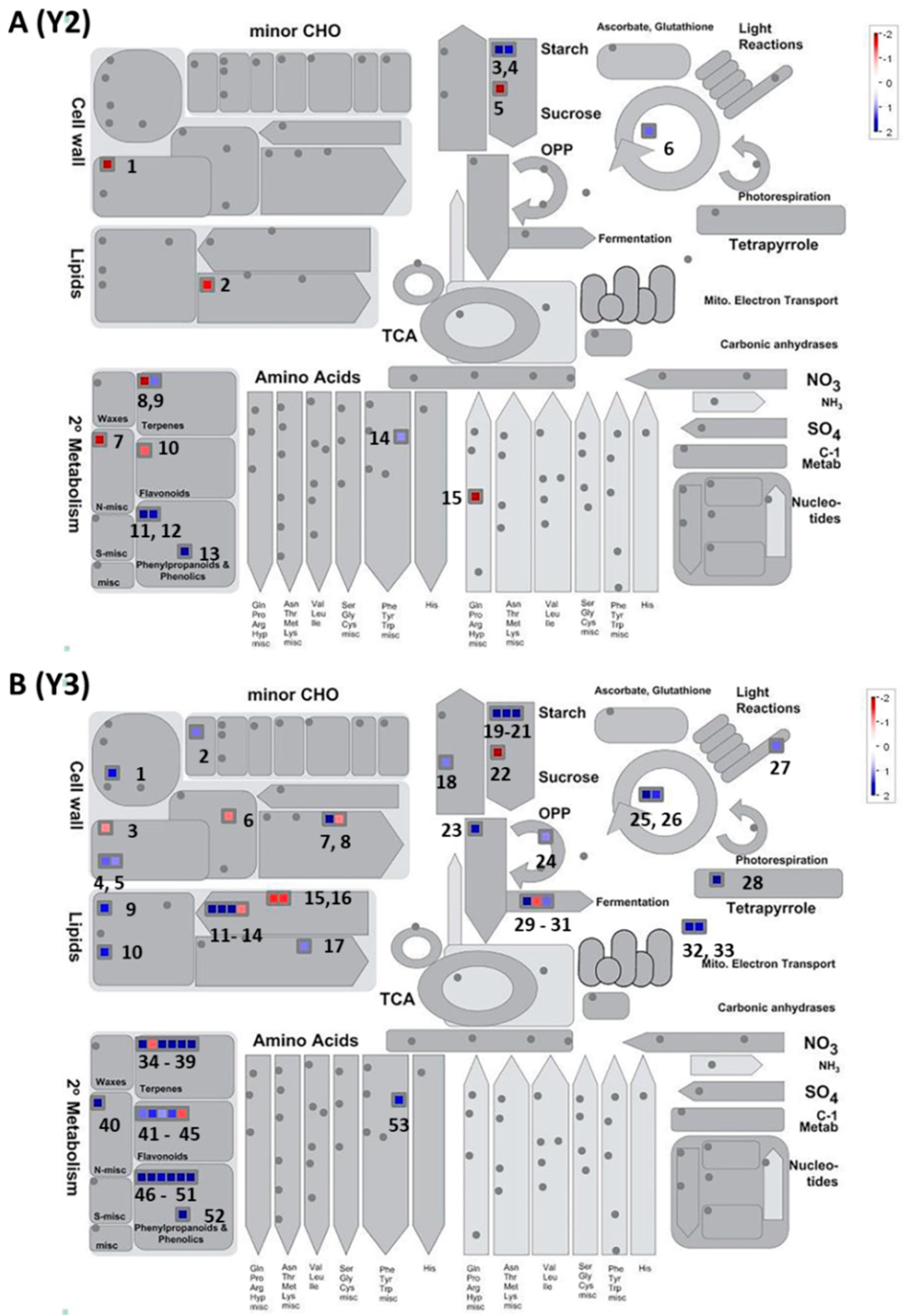 Transcriptomics of Mature Rice (Oryza Sativa L. Koshihikari) Seed under ...