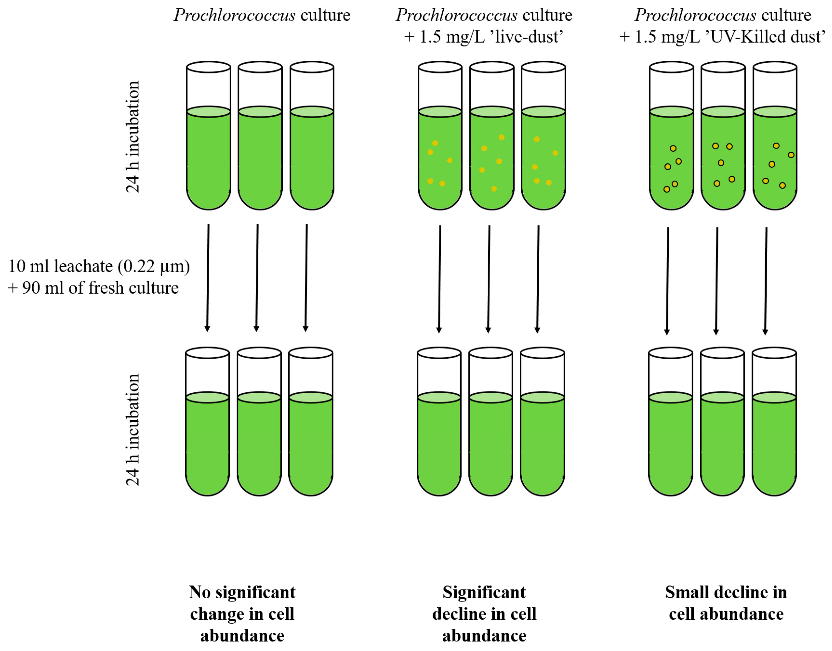 Bio-Aerosols Negatively Affect Prochlorococcus in Oligotrophic Aerosol ...