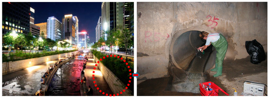 Atmosphere | Free Full-Text | Odor Characteristics and Concentration of ...