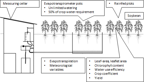 Atmosphere | Special Issue : Plant Ecosystems in a Changing World ...