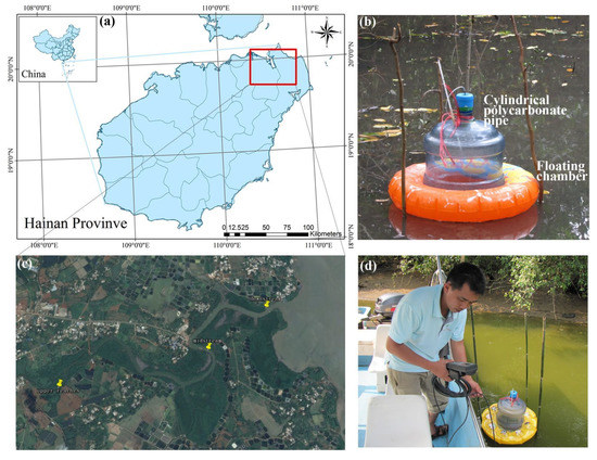 Methane Emissions from Surface of Mangrove River on Hainan Island, China