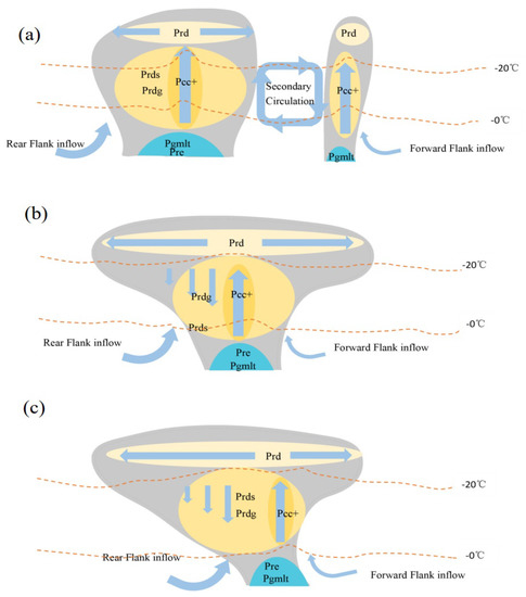 Simulation of the Dynamic and Thermodynamic Structure and Microphysical ...